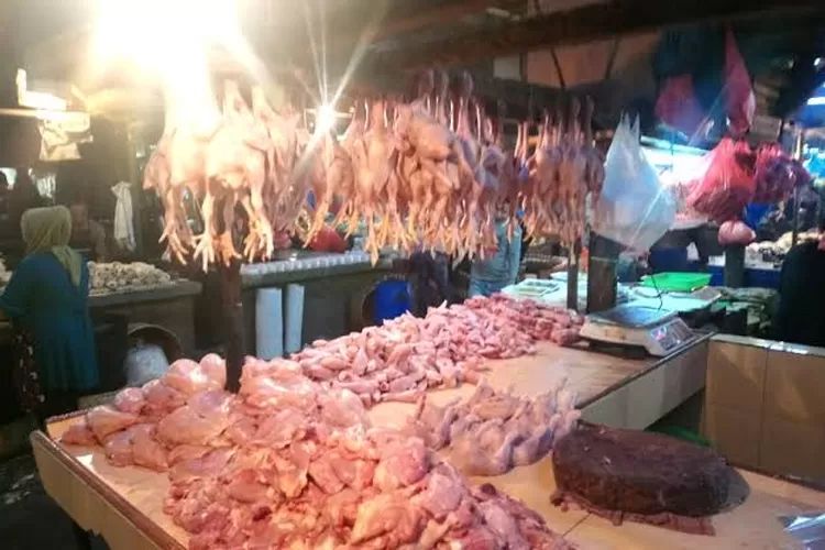 Harga Ayam Potong di Pasar Baru Bekasi Naik - Go Bekasi
